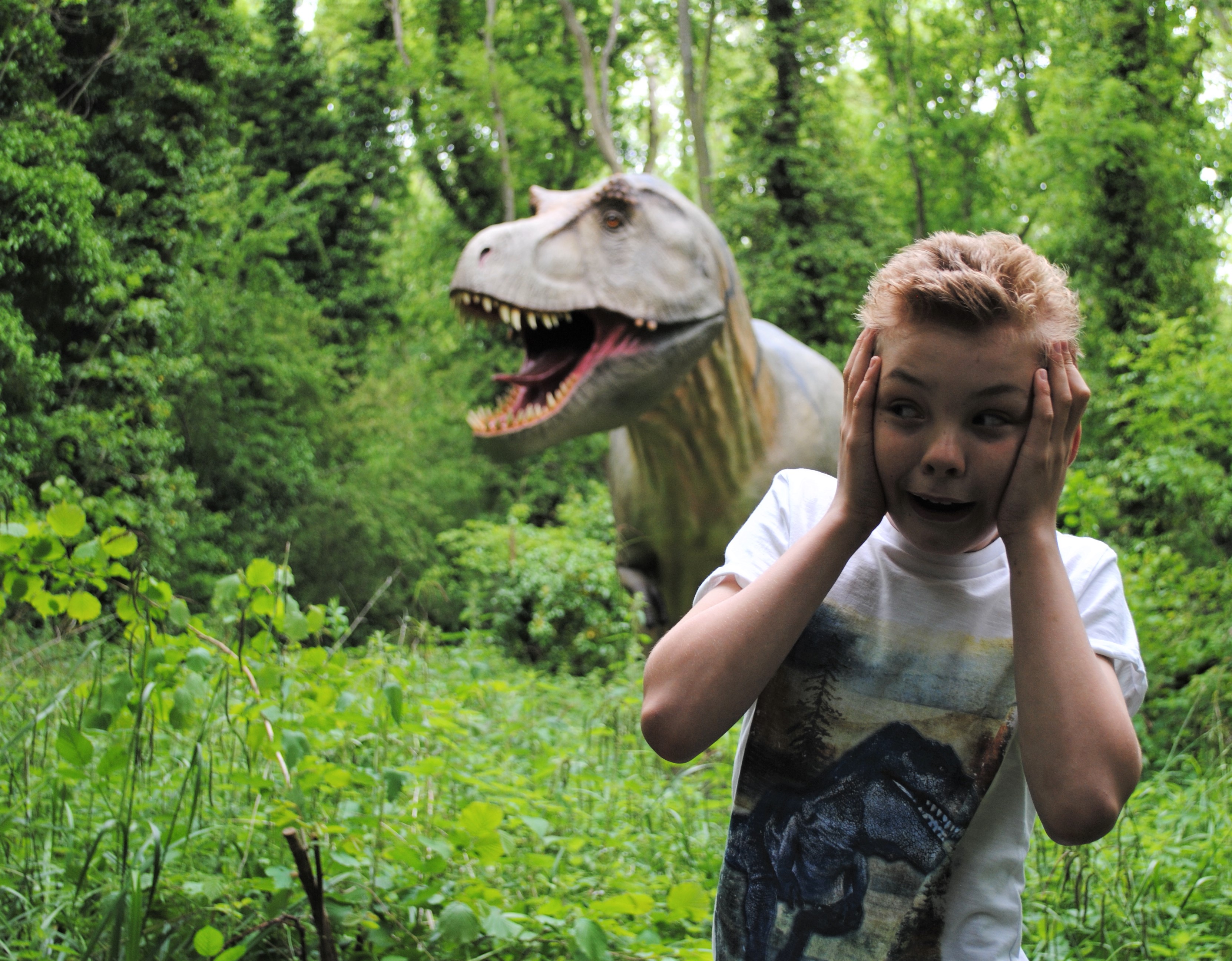 Dinosaur Forest - Learn About The Prehistoric World | The Aspinall ...