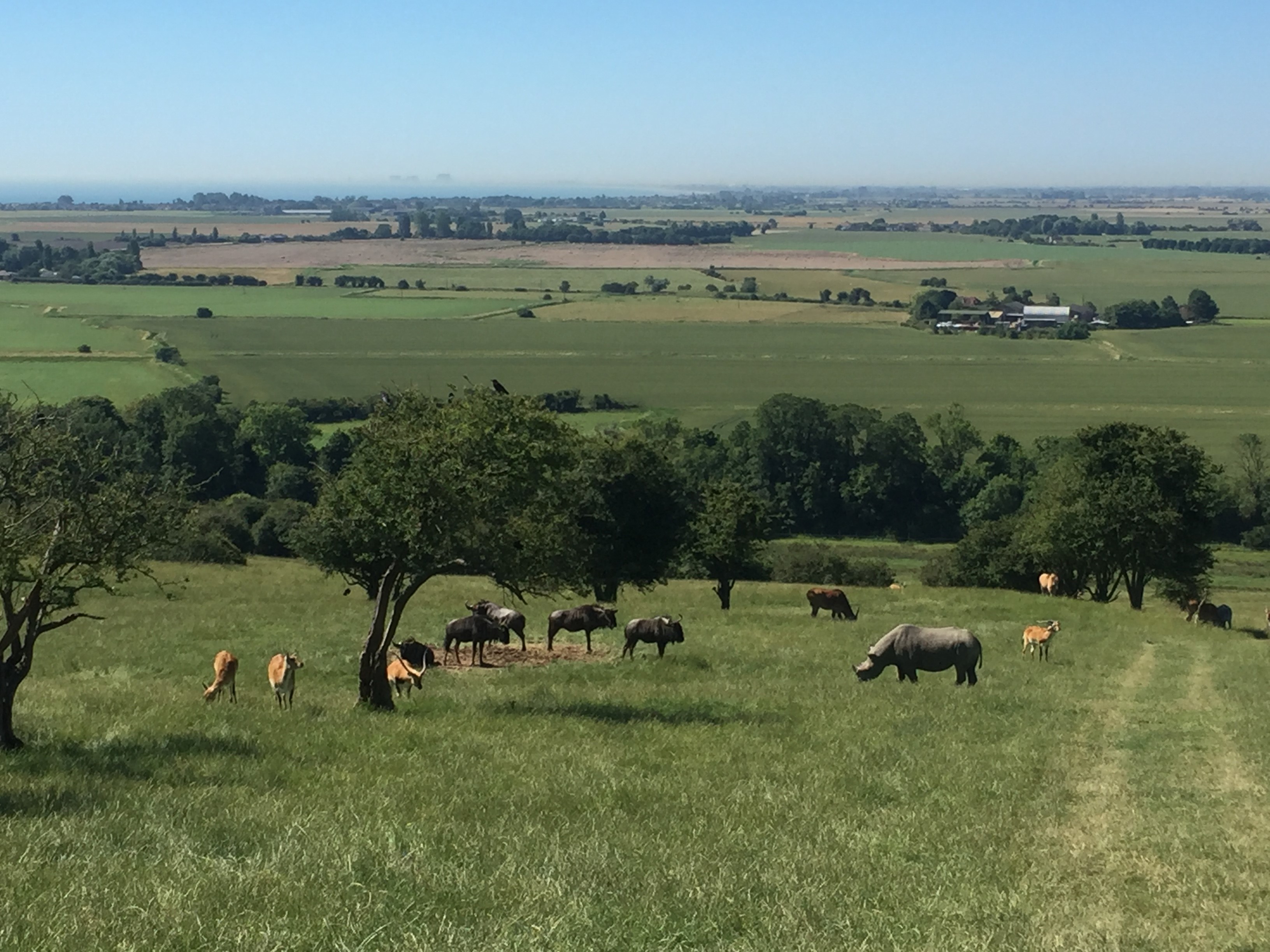 Forest Hideaway Short Breaks In Kent - Natural Retreat | The Aspinall ...