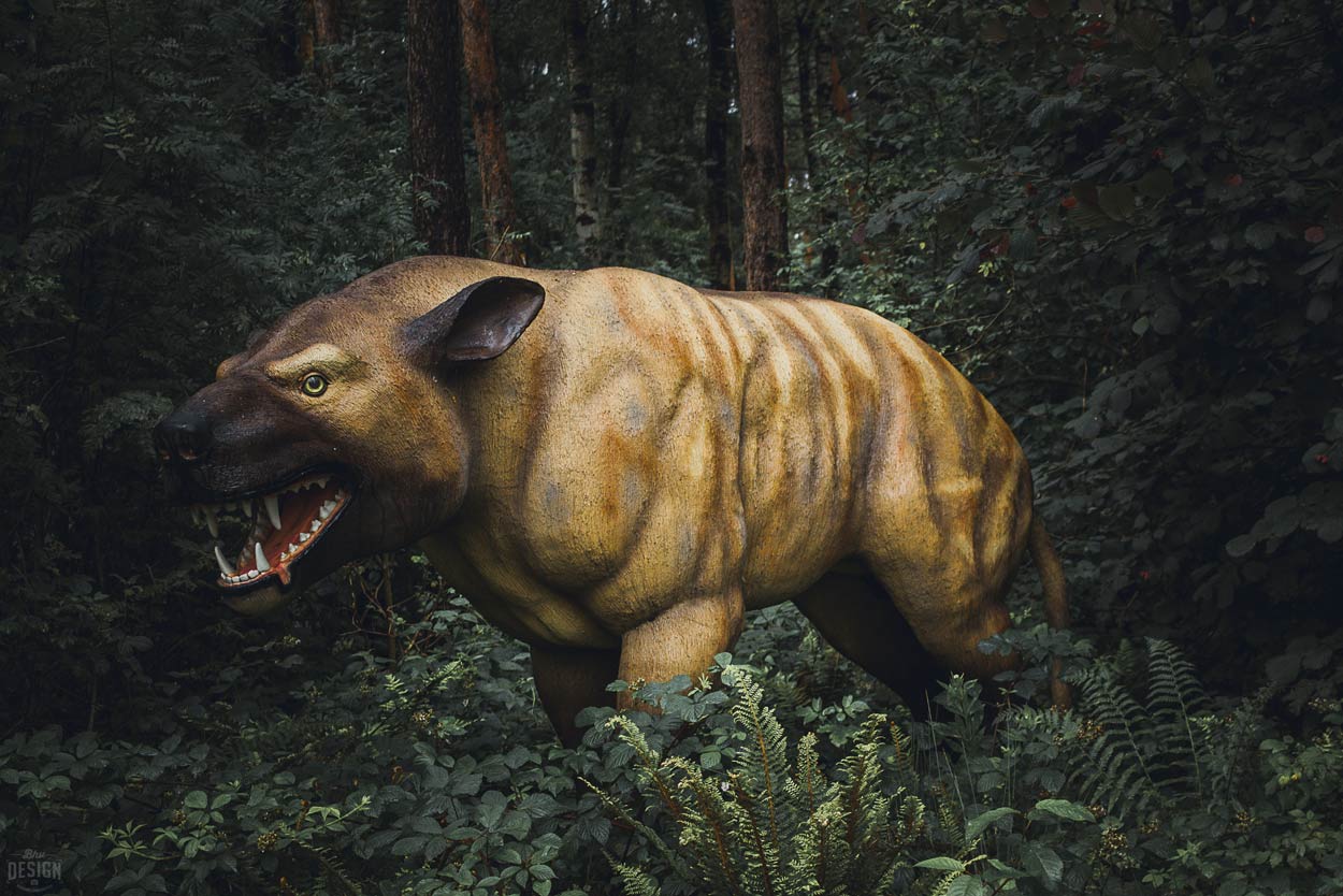 Wildlife Park & Enjoyable Days Out At Howletts | The Aspinall Foundation